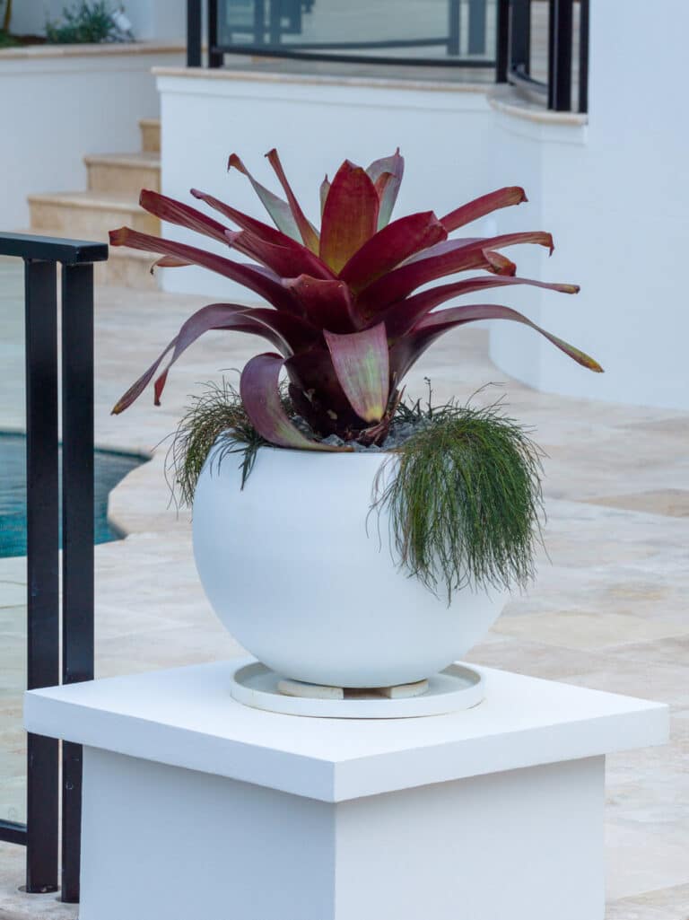The Art of Using Pot Plants in Landscape Design | Lynx Landscaping